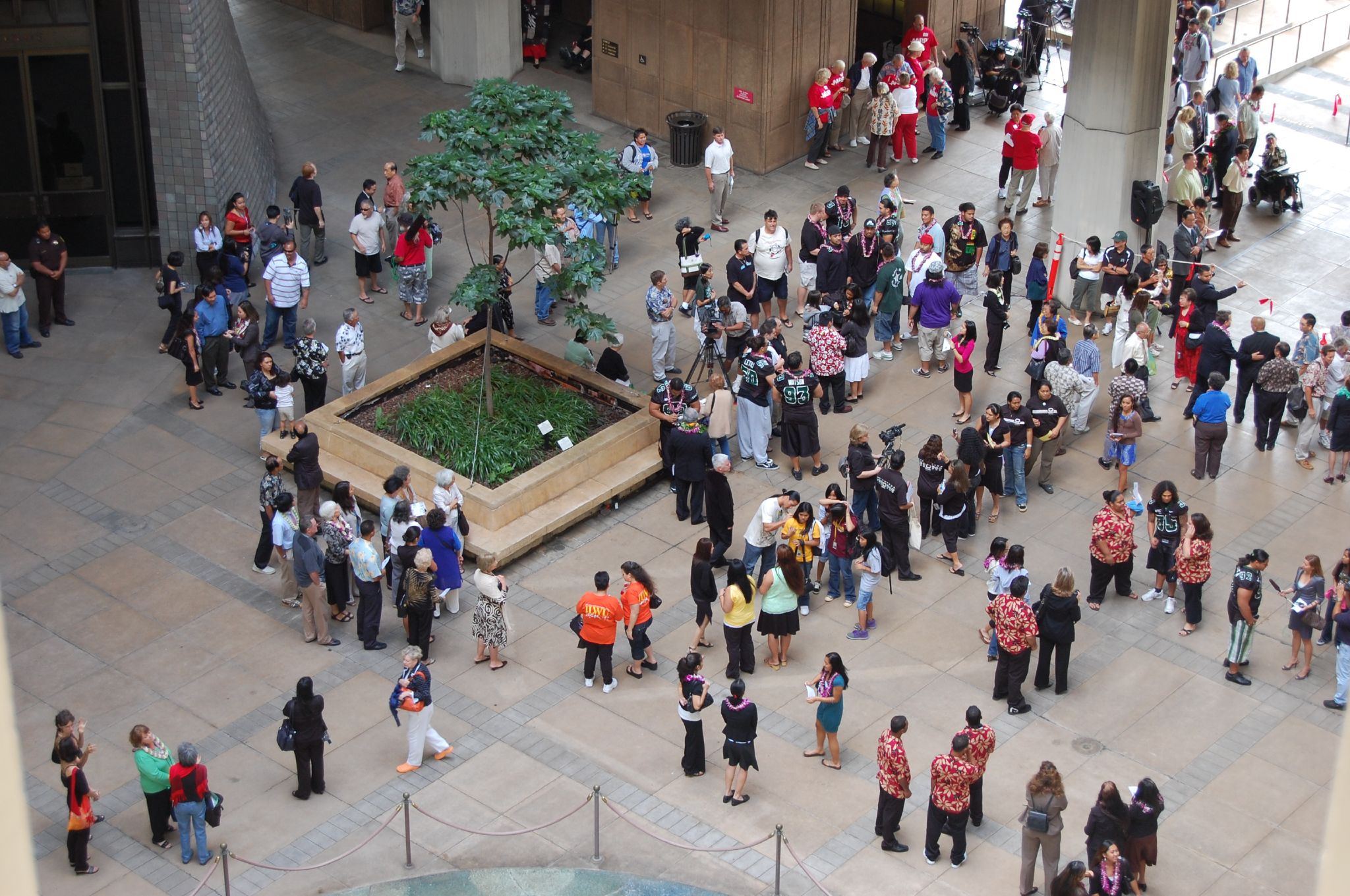 Briefing: Building Codes - Honolulu Civil Beat